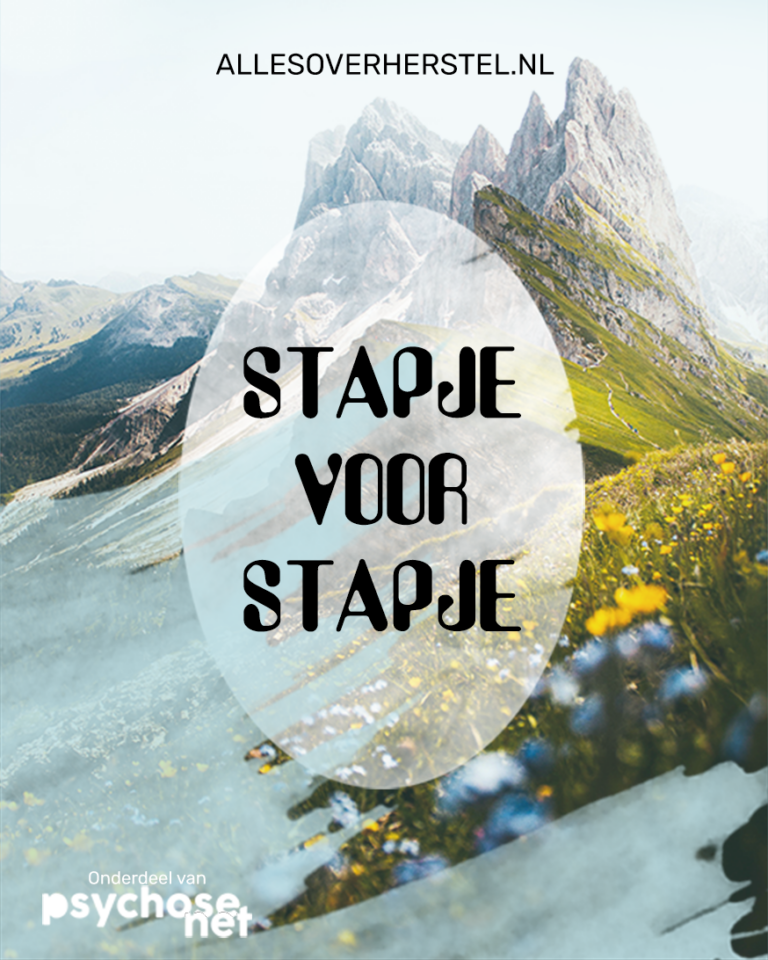 Stap-voor-Stap herstellen | Soms een stap vooruit, soms drie terug