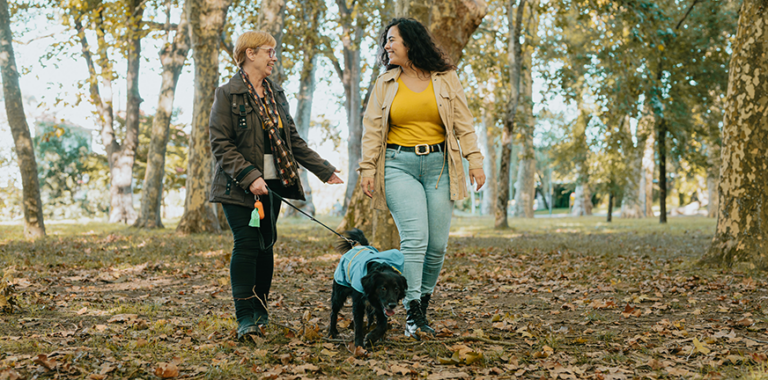 Wandelcommunities - de kracht van (samen) wandelen * PsychoseNet