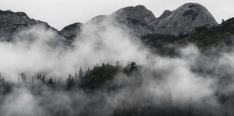 Onzichtbaar - Angelique Rijk * PsychoseNet
